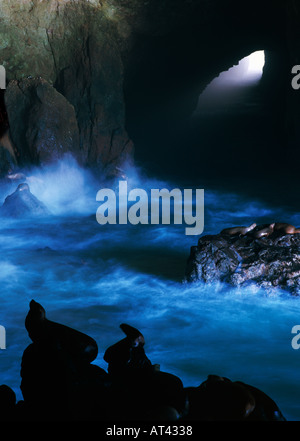 Lions cave in the coast Stock Photo - Alamy