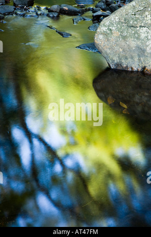 Tree reflections in the Isinglass River in Barrington, New Hampshire ...