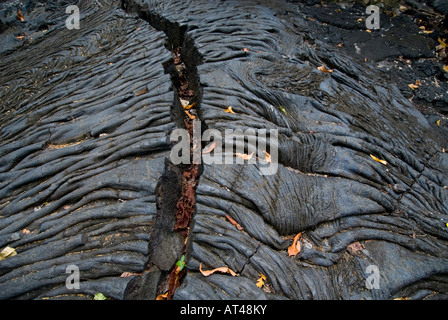Lavafield of Saleaula MAUGA SAMOA Lava Field Savaii Western Samoa ...