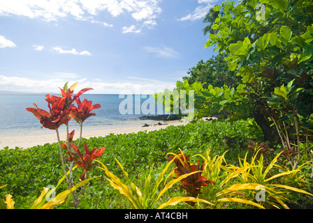 SAMOA Islands UPOLU Polynesia Serene Manono Island with no vehicles or ...