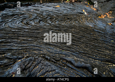 Lavafield of Saleaula MAUGA SAMOA Lava Field Savaii Western Samoa ...