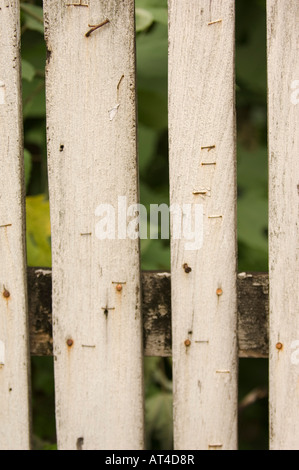 Close-up of aged vertical wood planks with exposed grain, wear marks ...