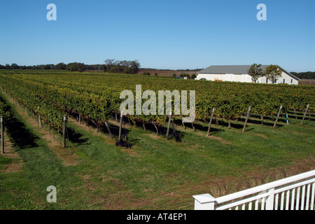 Bedell Winery at Cutchogue, North Fork on Long Island New York USA ...