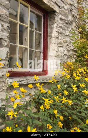Isolated old Welsh stone cottage with slate roof and white washed walls ...