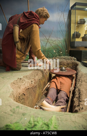Reconstruction of Anglo Saxon burial Ipswich museum Suffolk England UK ...