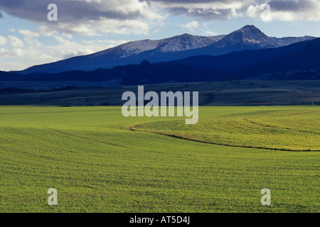 Recently planted fields in Western Montana Stock Photo - Alamy