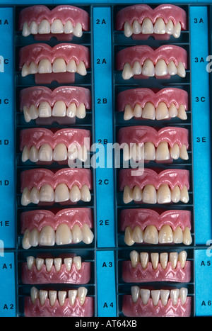 Acrylic teeth samples displayed at Ivoclar in Schaan, Liechtenstein who ...