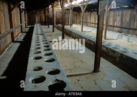 Group toilets at Birkenau near Auschwitz Nazi death camp site of the ...