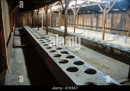Group toilets at Birkenau near Auschwitz Nazi death camp site of the ...