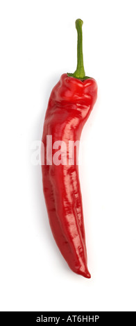 Red long pepper on white bacground Stock Photo - Alamy