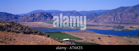 Vineyard irrigation near Osoyoos, British Columbia, Canada Stock Photo ...