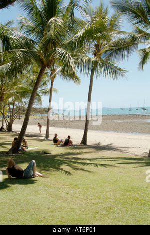 airlee, beach, queensland, Australia, near, the, Whitsunday, islands ...