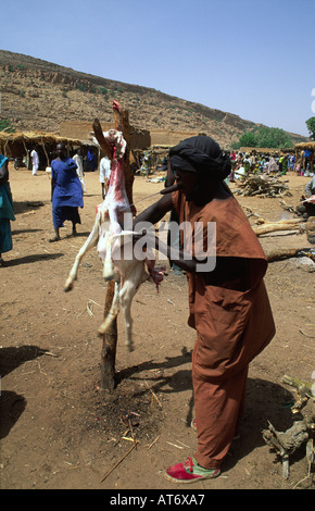 A fulani man in traditional dress Stock Photo - Alamy