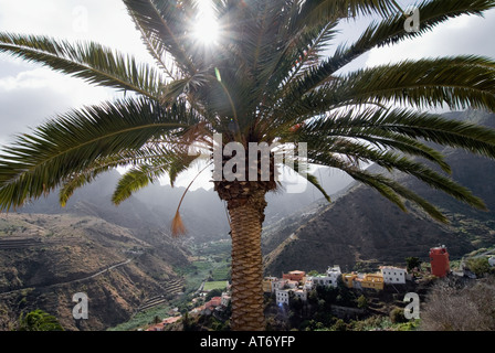 Palm tree and valley of Hermigua La Gomera Stock Photo - Alamy