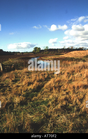 Drainage ditch on land below sea level Butley marshes Suffolk England ...
