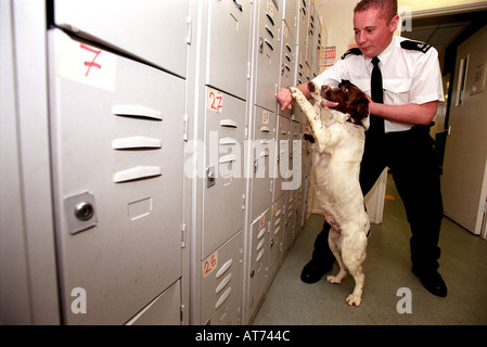 Police sniffer dog in action with handler Brighton seafront UK Stock ...