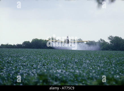 Airplane spraying insecticide on grain crop to kill harmful insects ...