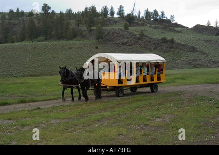A wagon ride is part of the Roosevelt Lodge's western cookout ...