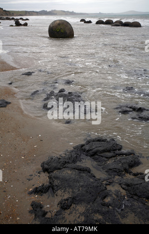 Moeraki Boulders, massive spherical rocks at dawn surrounded by water ...