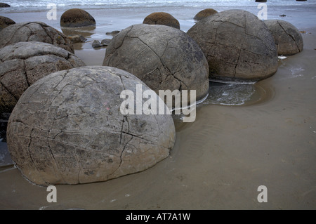 Moeraki Boulders, massive spherical rocks at dawn surrounded by water ...