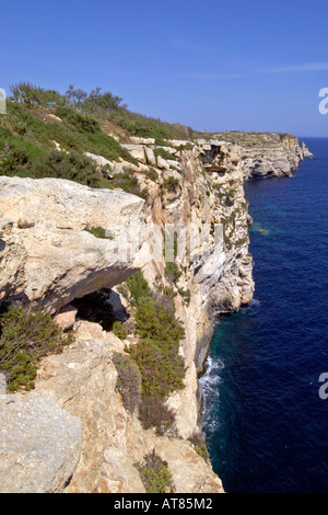 Malta - South-west coast cliffs Stock Photo - Alamy