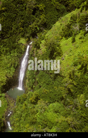 aerial Kauai waterfall Waimea Valley headwaters drain Alakai Swamp ...