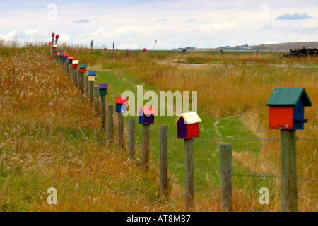 Colorful bird houses in a row isolated over white background Stock ...