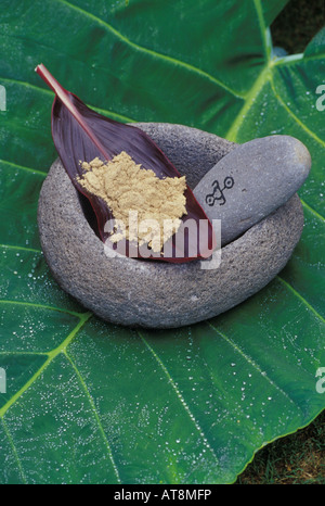 Awa root, Hawaiian medicinal plant Stock Photo: 16238842 - Alamy