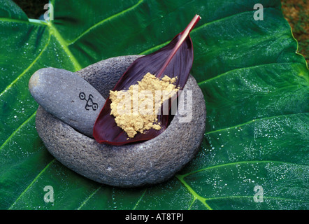 Native Hawaiian Awa ( kava) root ground to a powder and drank as a ...