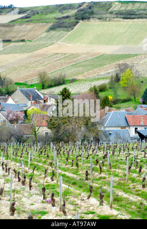 Village of Chavignol near Sancerre in the Loire Valley amidst the ...