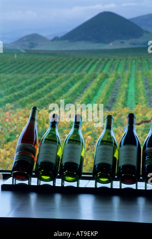Tasting room at Edna Valley Vineyard near San Luis Obispo, California ...