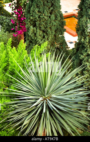 Landscape architect design stone patio in backyard garden plan Stock ...