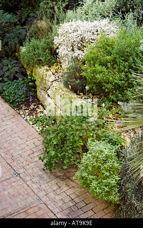 Landscape architect design stone patio in backyard garden plan Stock ...