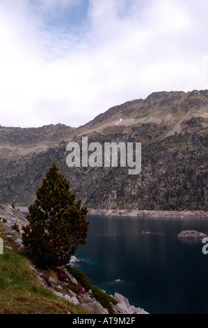 Lac de Cap de Long in the French Pyrenees Stock Photo - Alamy