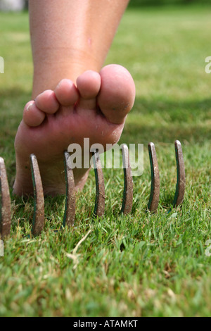 Person steps on rake in the garden Stock Photo - Alamy