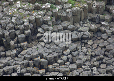 Causeway to Scotland. Hexagonal columns of basalt glow in the afternoon ...