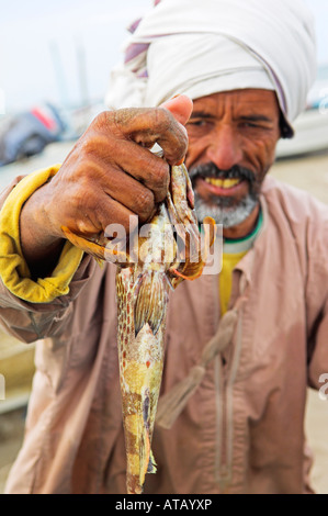 Fish on the beach, Sultanate of Oman Stock Photo - Alamy