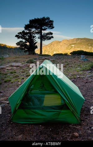 Tent in mountain forest Stock Photo - Alamy
