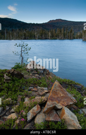 On the shore of a lake with rocks, trees and reflection in the water in ...
