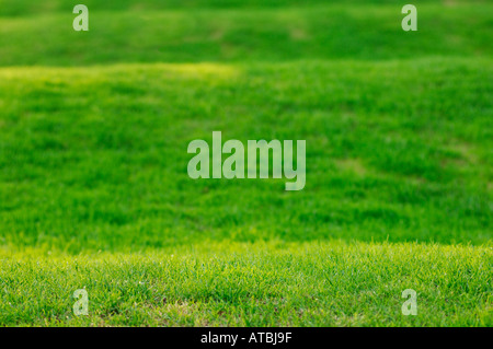 undulations in grass Stock Photo - Alamy