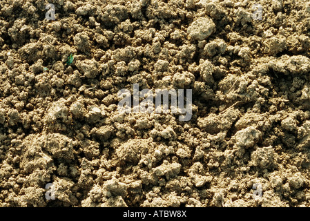 Soil texture close-up Stock Photo - Alamy