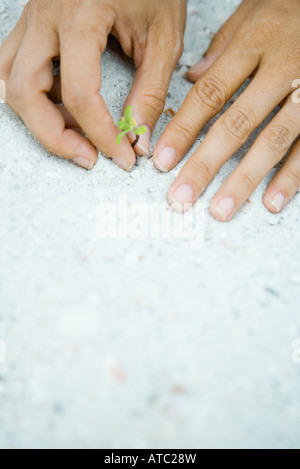 cropped view of one finger in knitted hat isolated on blue Stock Photo ...