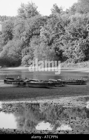 Boating on Swanbourne Lake in Arundel West Sussex UK Stock Photo - Alamy