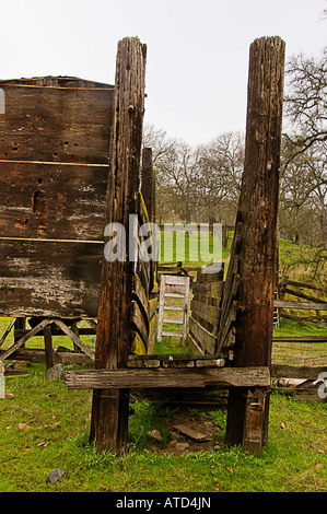 Old cattle or sheep loading ramp at Rawlinna railway station, a tiny ...