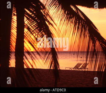 View through silhouetted palm fronds of sailboats anchored off shore ...