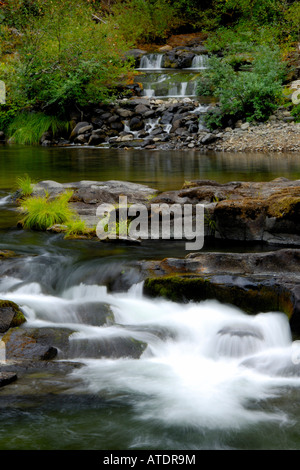 Steamboat Creek Oregon Stock Photo - Alamy