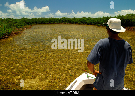 Sightseeing in the Bahamas Bimini Bahamas Atlantic Ocean Stock Photo ...