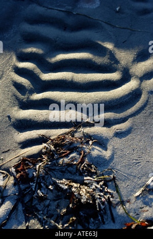 frozen sand textures in winter by the sea beach with blue sky in sunny ...