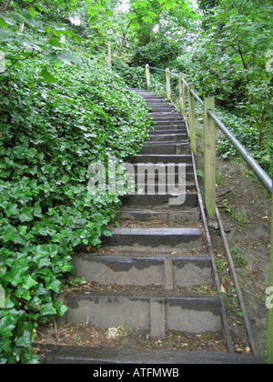 Earth steps with wooden handrail on footpath leading down to Porth Ysgo ...