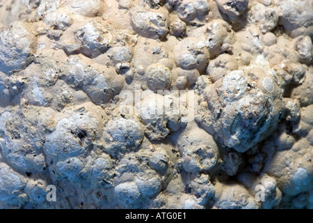 Unsliced agate bearing rock Stock Photo - Alamy